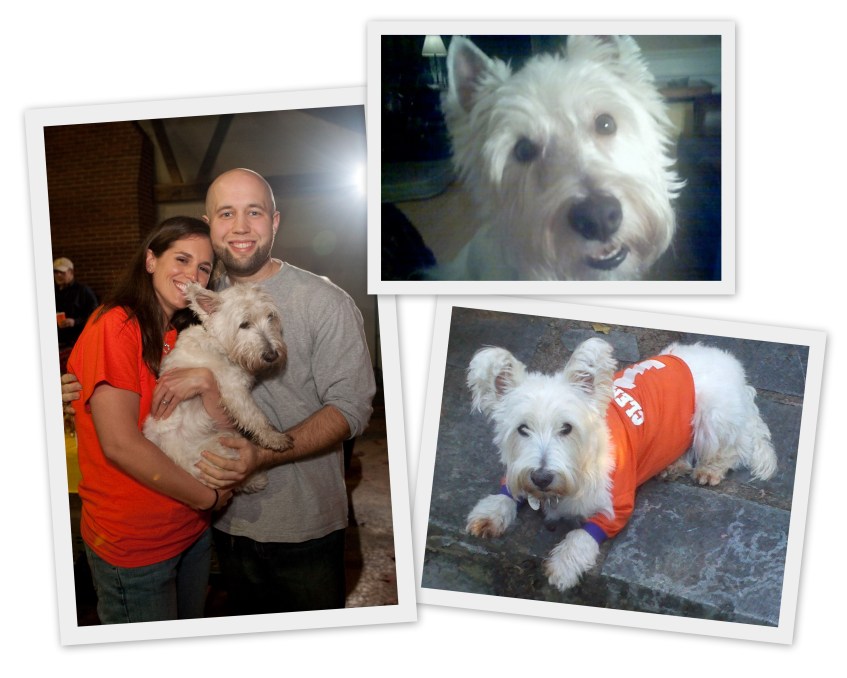 Scottie | Christopher M. Clapp